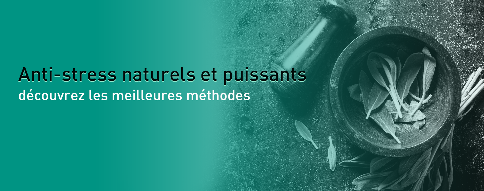 Anti-stress naturels et puissants : découvrez les meilleures méthodes ...